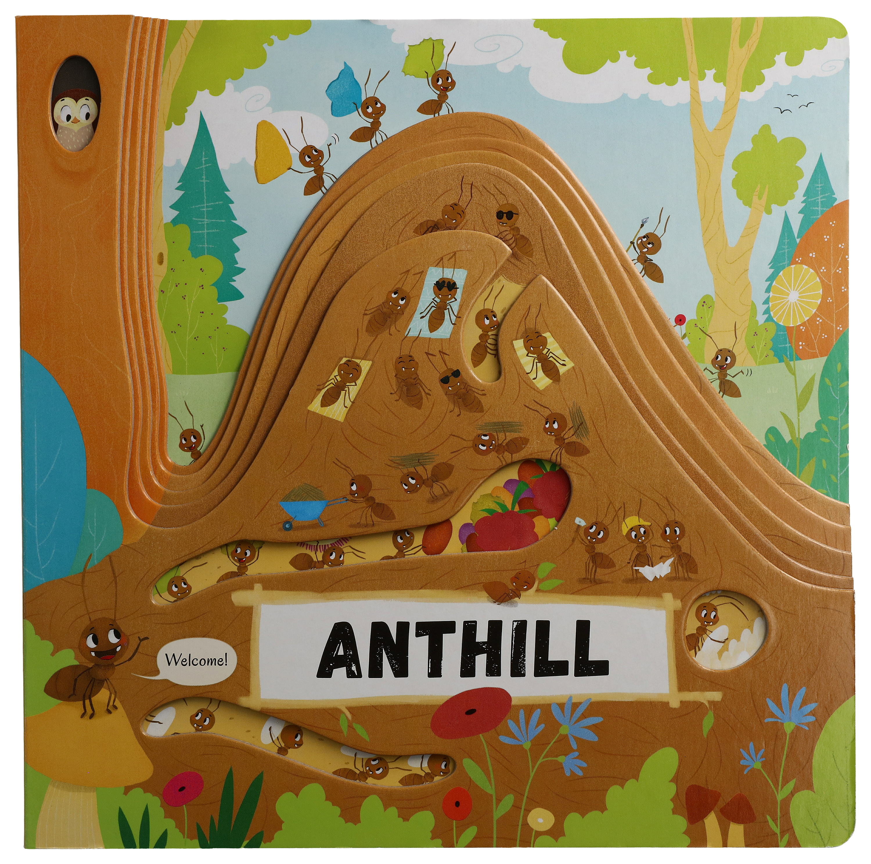 Anthill Board Book for Kids by Petra Bartikova | Cabela's